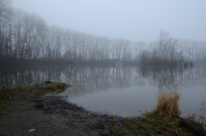 Vertical Shot of a Scary and Foggy Lake Surrounded by Trees - Great for ...