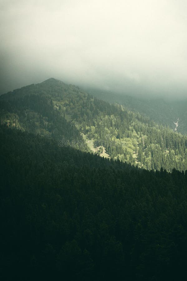 Vertical Shot of a Scenic Forest on the Slope of a Mount Stock Photo ...