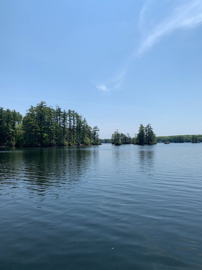 Vertical Shot of a Scenic Lakeside with Greenery Under the Blue Sky ...