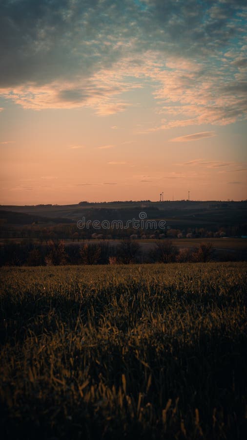 Vertical Shot of a Scenic Sunset Over the Field Stock Image - Image of ...