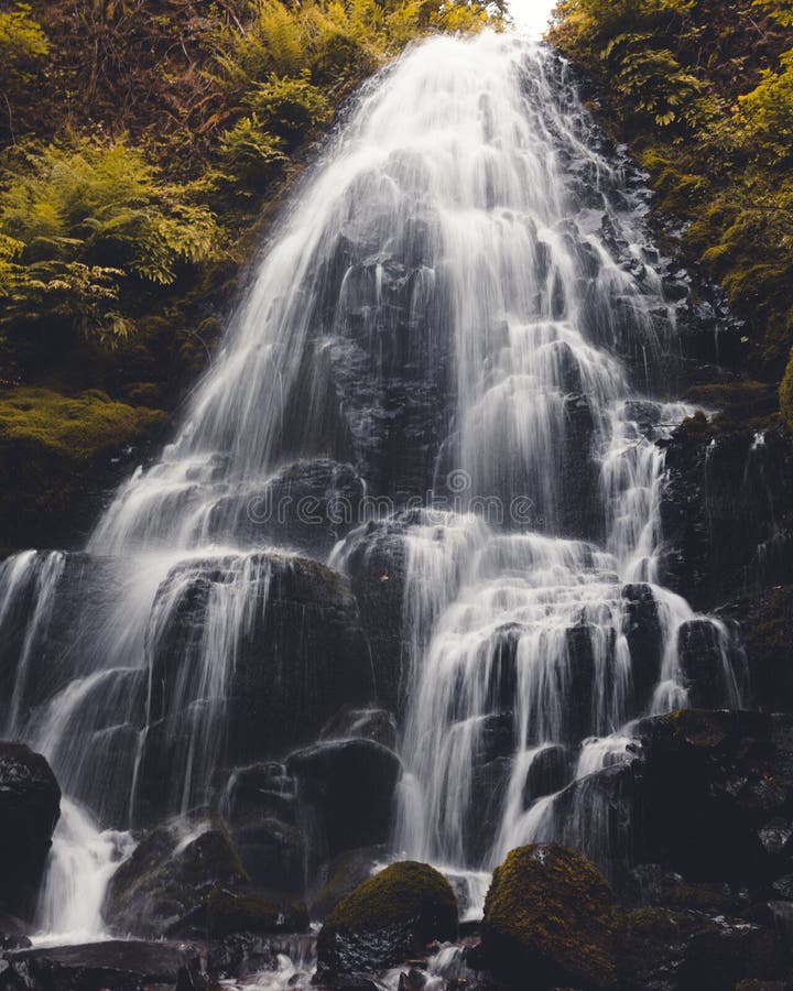 Vertical Shot of a Scenic Waterfall in a Forest Stock Image - Image of ...