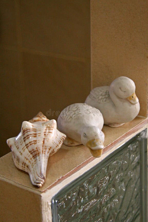 Vertical Shot of Seashells Display on the Bathroom Stock Photo - Image ...