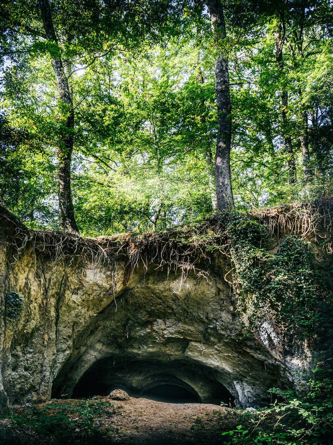 Vertical Shot of the Secret Cave in the Woods Stock Photo - Image of ...