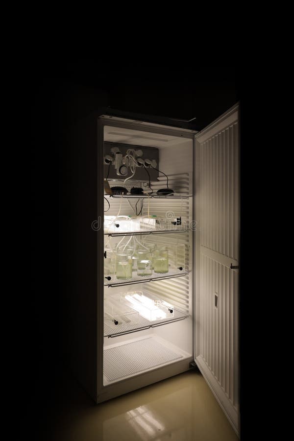 Vertical Shot of Seedlings on a Freezer in a Laboratory Stock Image ...