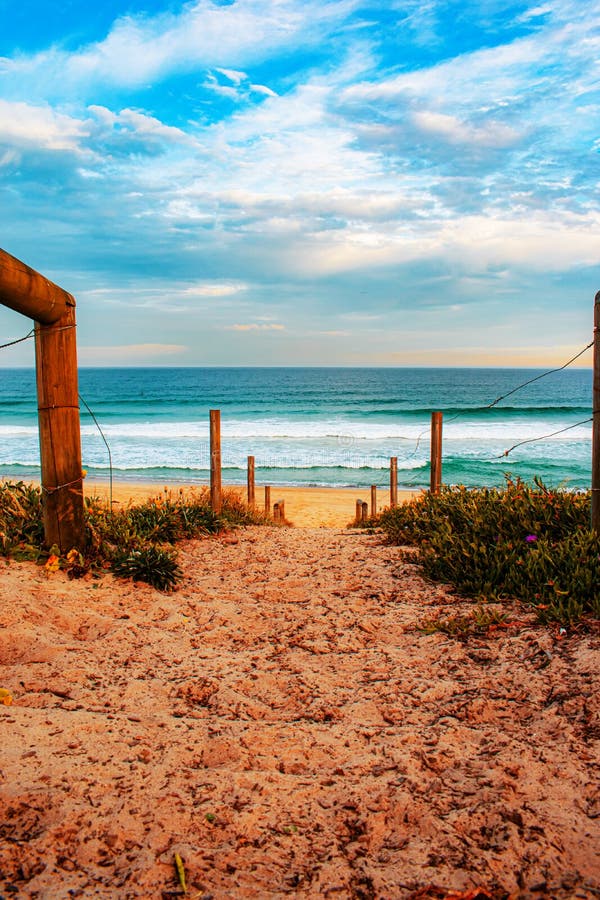 Vertical Shot of a Series of Steps Leading To the Beach Stock Image ...