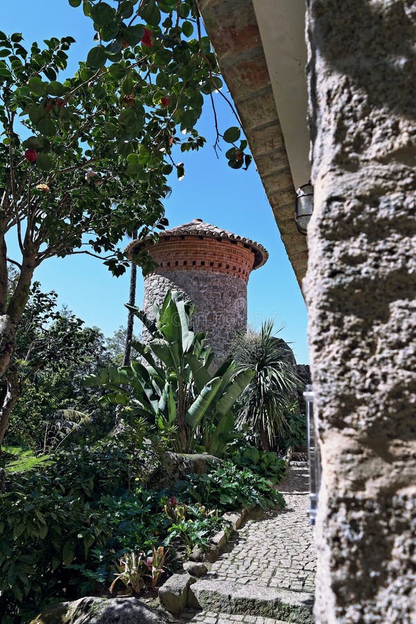 Vertical Shot of Several Trees Next To a Building Stock Image - Image ...