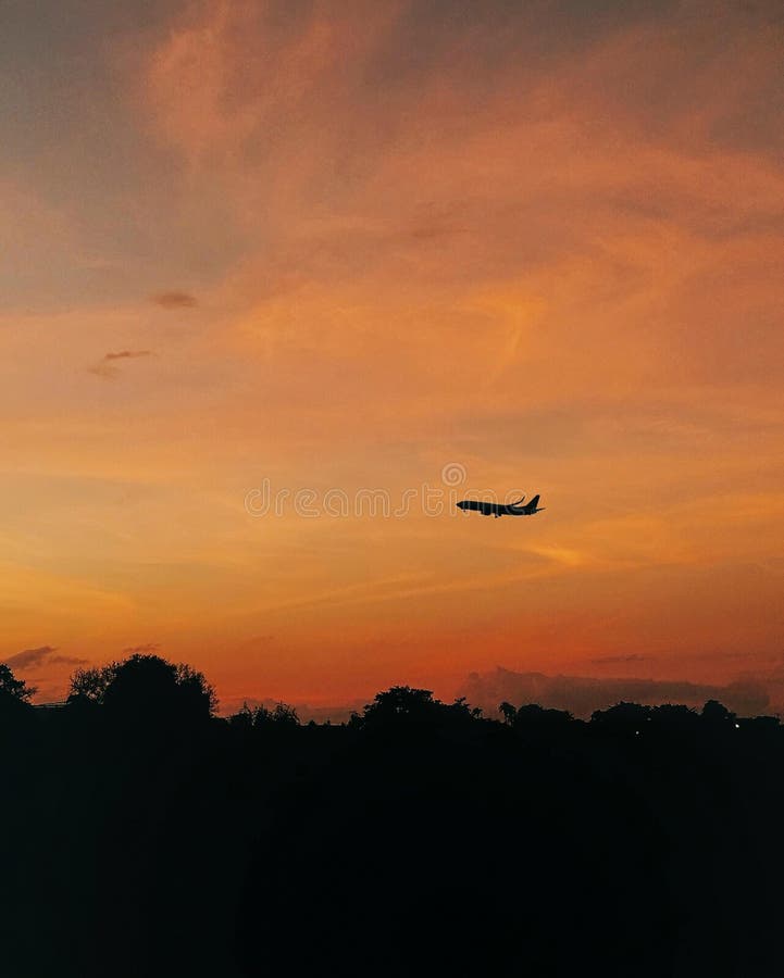 Vertical Shot of a Silhouette of a Plane Flying in the Orange Sunset ...