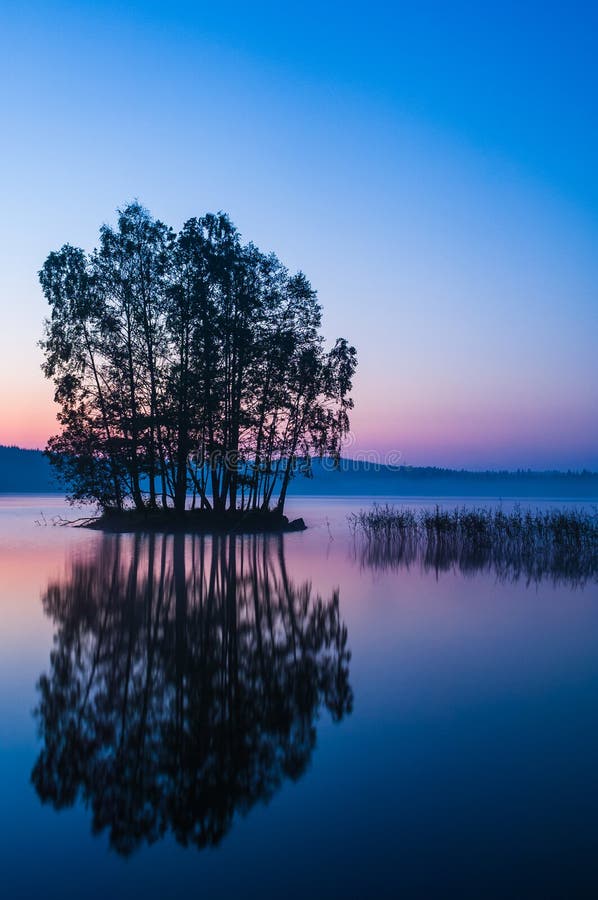 Vertical Shot of the Silhouette of the Tree Reflecting on a Lake during ...