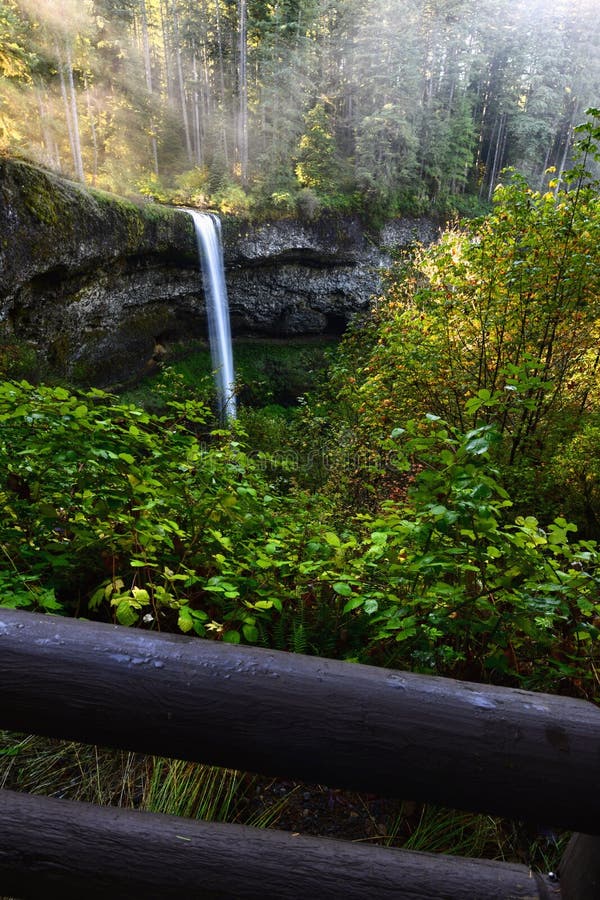 Vertical Shot of Silver Falls State Park, Oregon Stock Photo - Image of ...