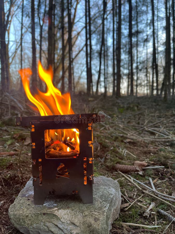 Burning Bushbox Stock Photos - Free & Royalty-Free Stock Photos from ...