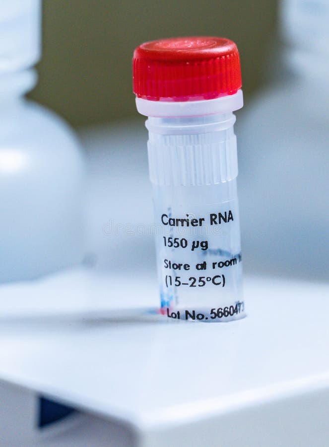 Vertical Shot of a Small Container with Molecular Reagent Carrier RNA ...