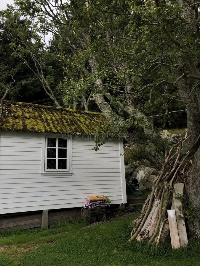 Vertical Shot of a Small House Surrounded by Trees Stock Photo - Image ...
