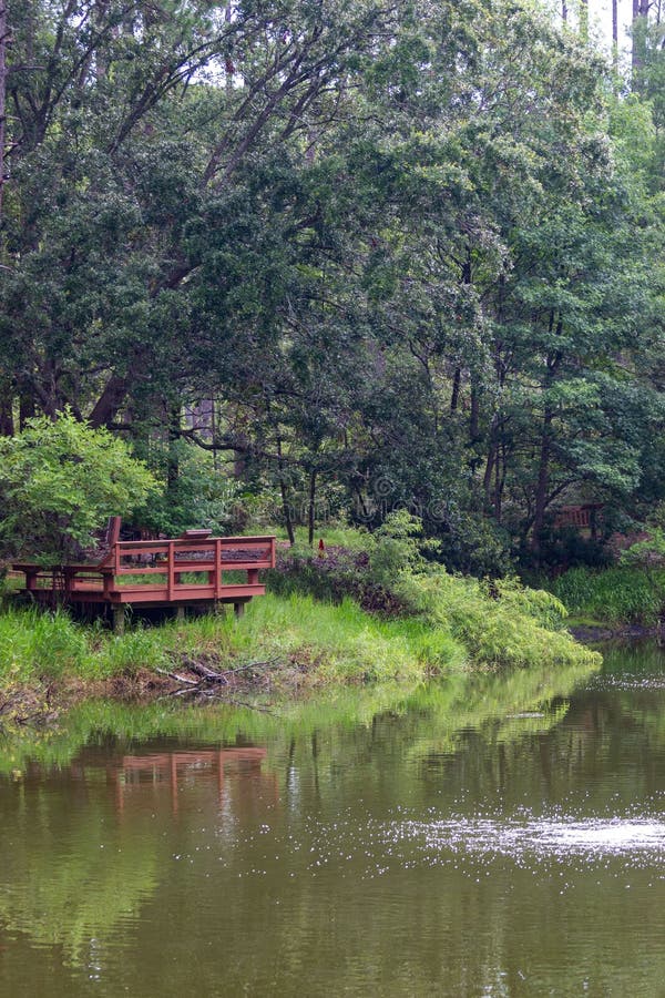 Vertical Shot of Small Observation Deck in the Park among Lush Trees ...