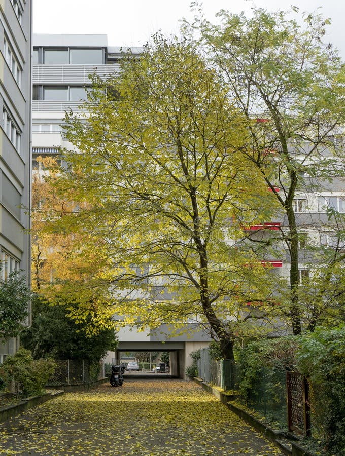 Vertical Shot of a Small Park in Front of a Modern Building during ...