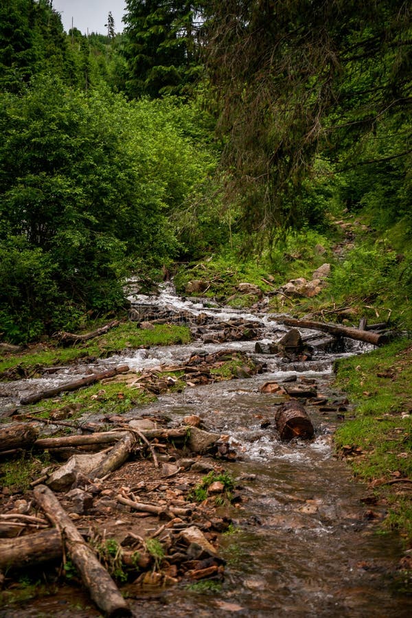 Vertical Shot of a Small River Surrounded by Rocks and Greenery in a ...