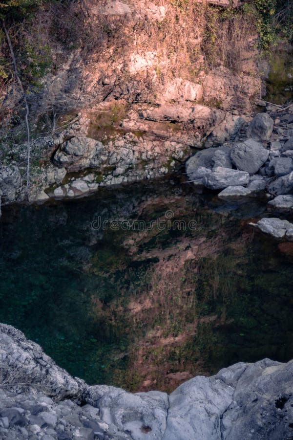Vertical Shot of a Small Rocky Puddle in a Mystical Forest Stock Photo ...