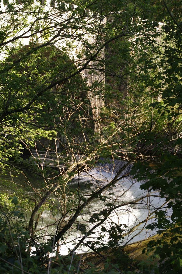 Vertical Shot of a Small Round Shaped Waterfall Stock Photo - Image of ...