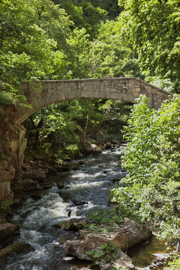 Vertical Shot of a Small Stone Bridge Over the River in the Forest ...