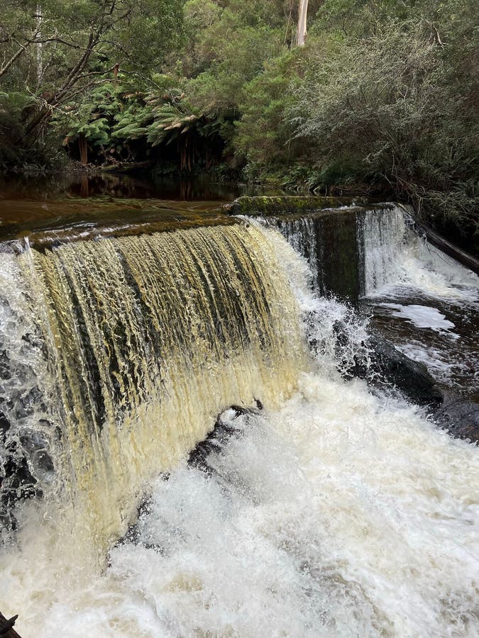 Vertical Shot of Small Waterfalls in the Forest Stock Photo - Image of ...