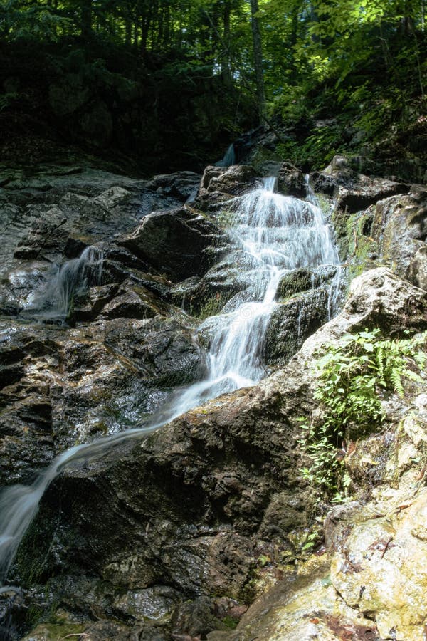 Vertical Shot of a Small Waterfalls in the Woods Stock Photo - Image of ...
