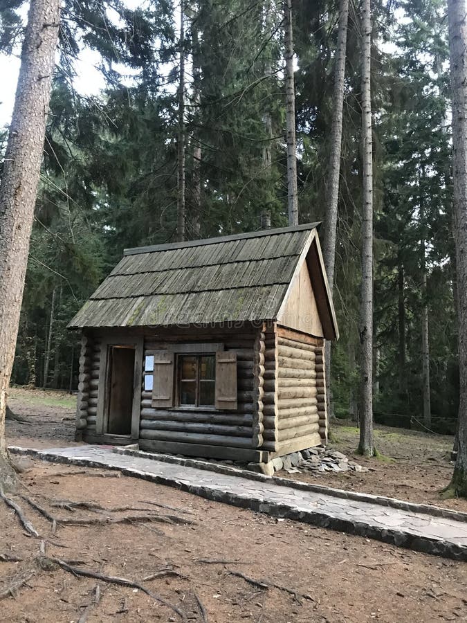 Vertical Shot of a Small Wooden Hut in the Forest with Tall Trees Stock ...