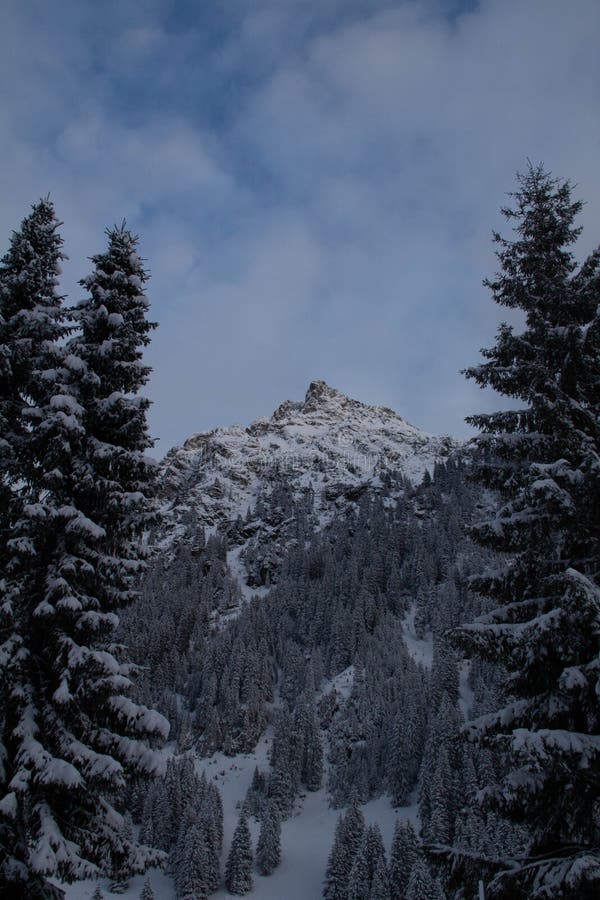 Vertical Shot of a Snow Capped Mountain and Trees. Stock Image - Image ...