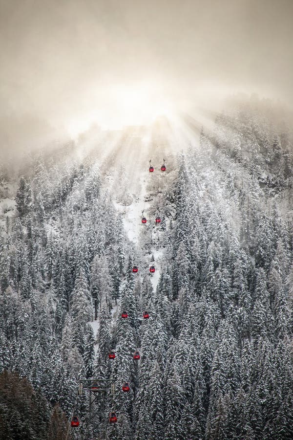 Vertical Shot of a Snow Covered Mountain Full of Trees Stock Photo ...