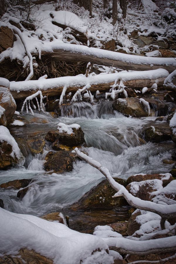 Vertical Shot of the Snow on the Fallen Logs in the River Stock Photo ...