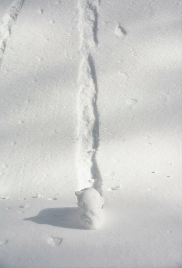 Rolling Snowball Down Hill Stock Photos - Free & Royalty-Free Stock ...