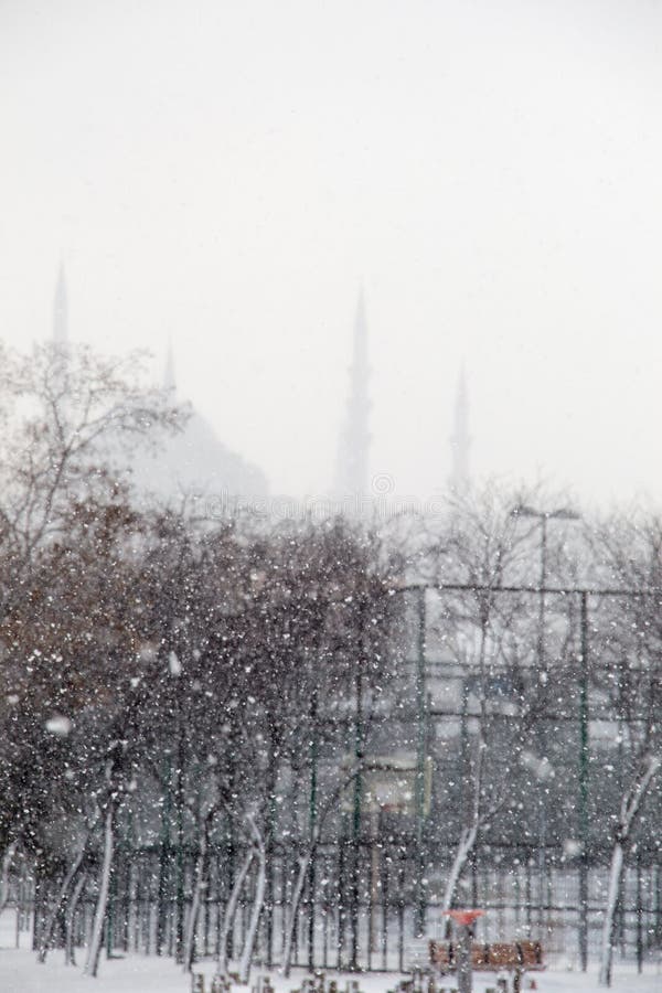 Vertical Shot of Snowflakes Falling on the Ground Stock Photo - Image ...