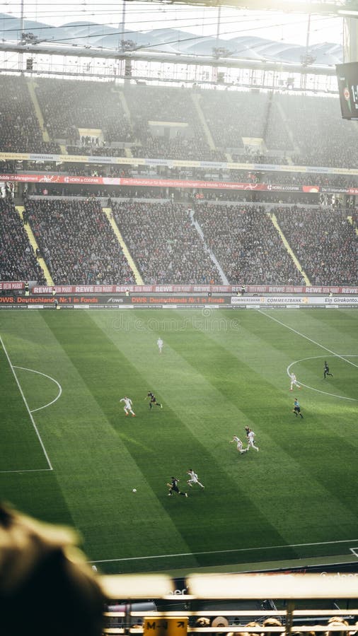 Vertical Shot of Soccer Players in a Soccer Grass Field Editorial ...
