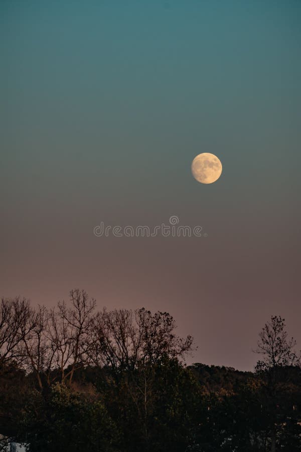 Vertical Shot of a Soft Dusk in the Sky with a Moon Stock Photo - Image ...