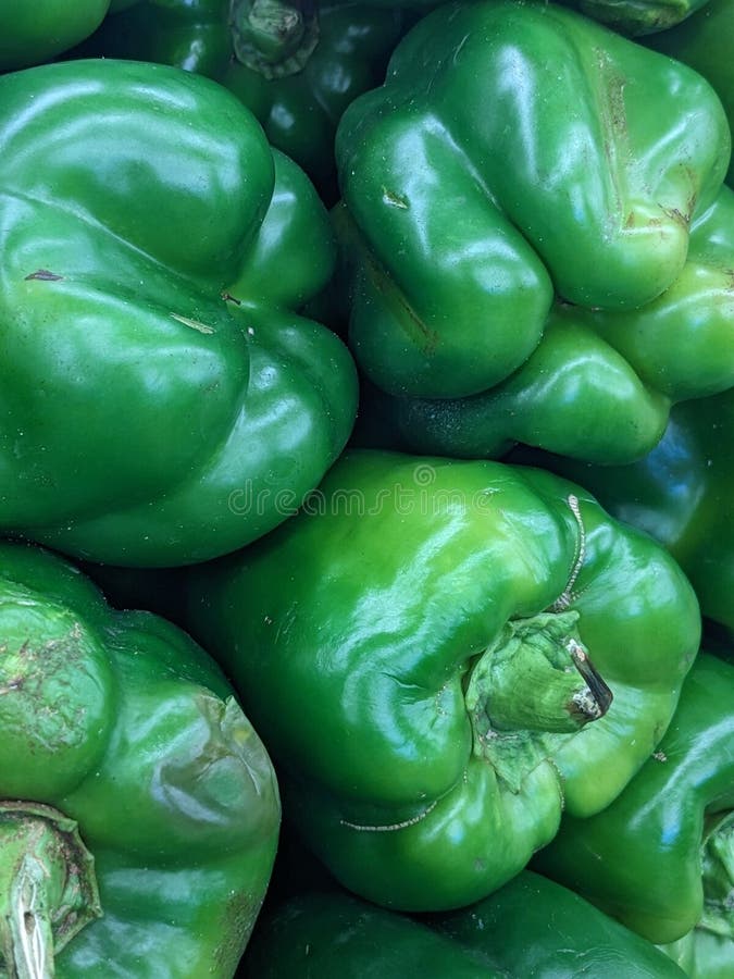 Vertical Shot of a Stack of Freshly Picked Green Bell Peppers Stock ...