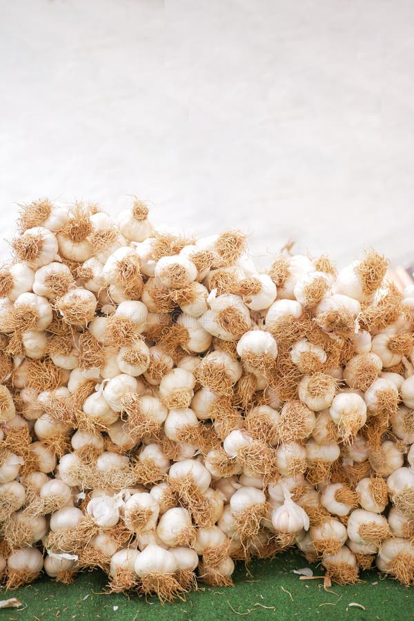 Stack of garlic in France stock photo. Image of nutrition - 277929290