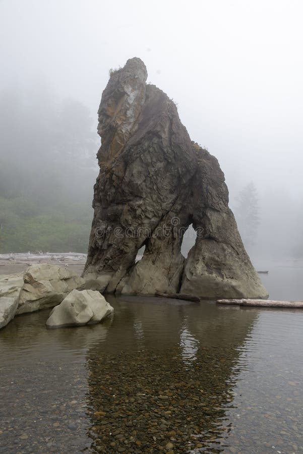 Vertical Shot of Stack in a Lake on a Foggy Day Stock Photo - Image of ...