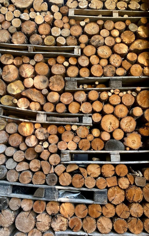 Vertical Shot of the Stacks of Logs Stock Photo - Image of material ...