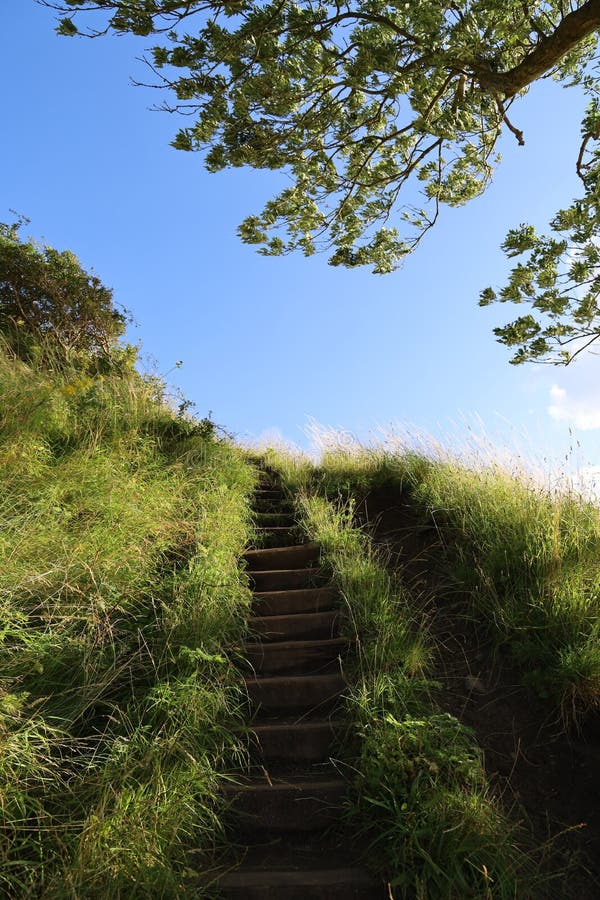 Vertical Shot of Stairs in Grassland Stock Image - Image of landscape ...