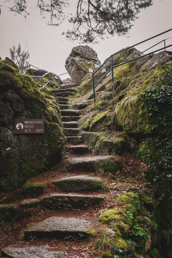 Vertical Shot of Stairs in the Park Stock Image - Image of stairs ...