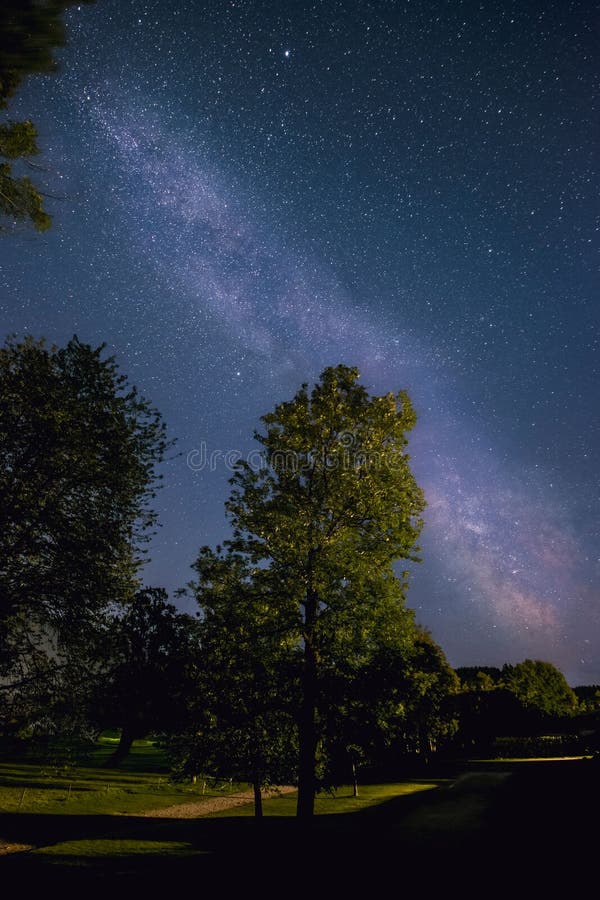 Vertical Shot of a Starry Milky Way Night Sky Over a Park with Trees ...