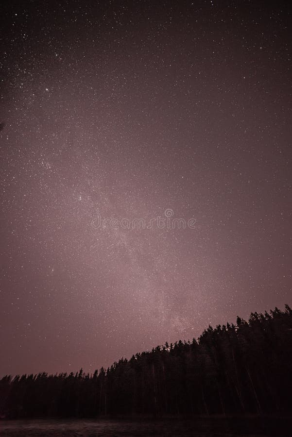 Vertical Shot of a Starry Sky at Night - Perfect for Wallpaper Stock ...