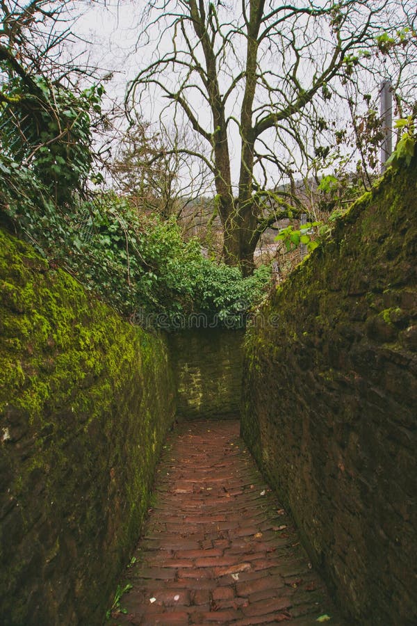 Vertical Shot of Stone Alley Walls Covered in Moss on a Trail Stock ...