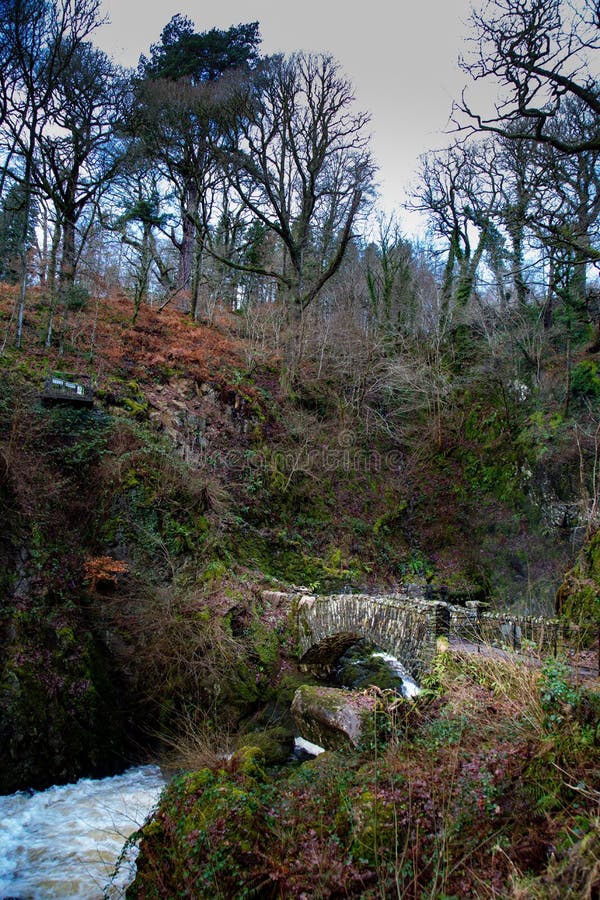 Vertical Shot of a Stone Arch Bridge Over an Overflowing River in a ...