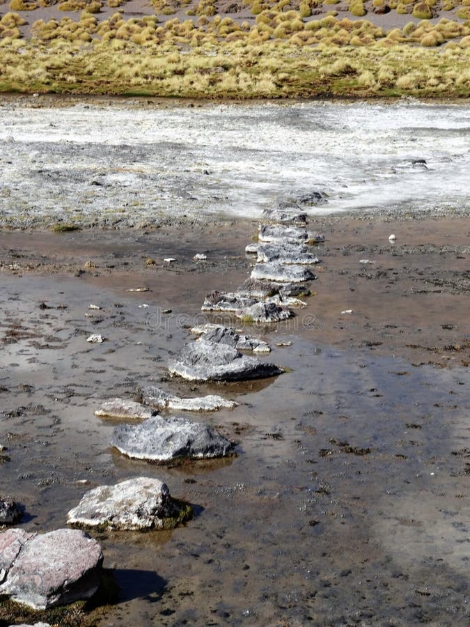 Vertical Shot of a Stone Pathway Along the Seashore Stock Photo - Image ...