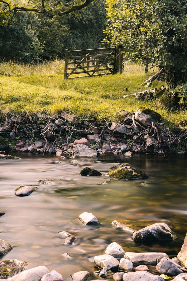 Vertical Shot of a Stream and Gate in Dappled Light in the Brecon ...