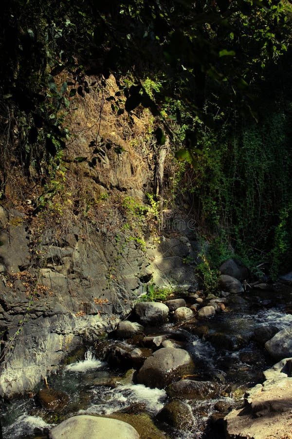 Vertical Shot of a Stream in a Rocky Cave Stock Image - Image of travel ...