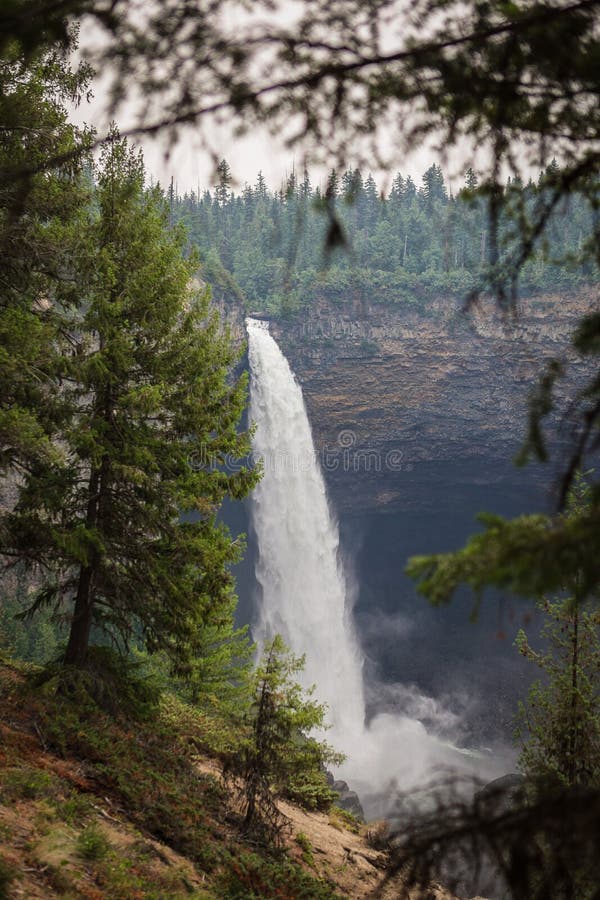 Vertical Shot of a Streaming Waterfall Stock Image - Image of scenic ...
