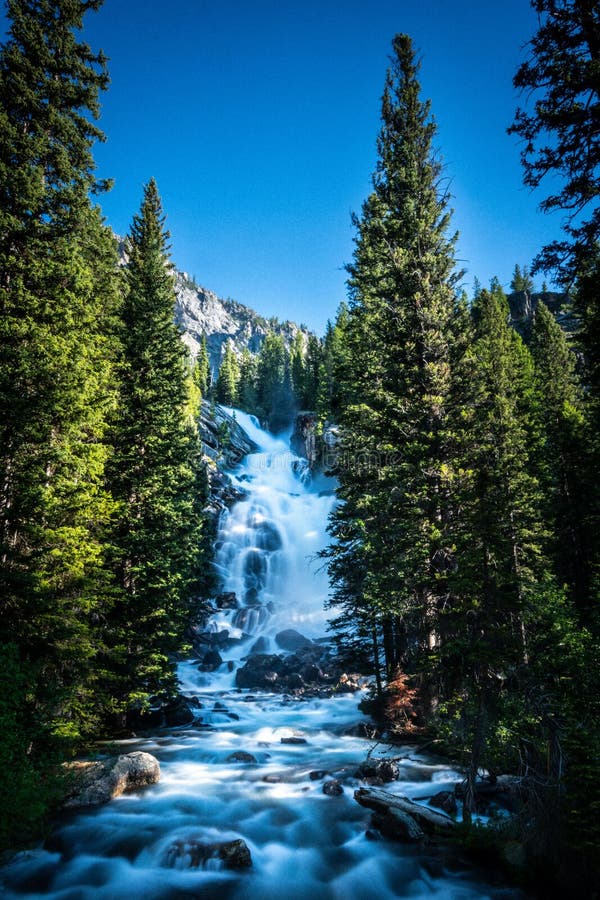 Vertical Shot of a Streaming Waterfall in the Forest Stock Image ...