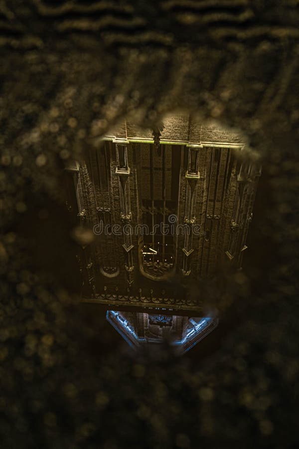 Vertical Shot of a Street Puddle Reflecting a Building Stock ...