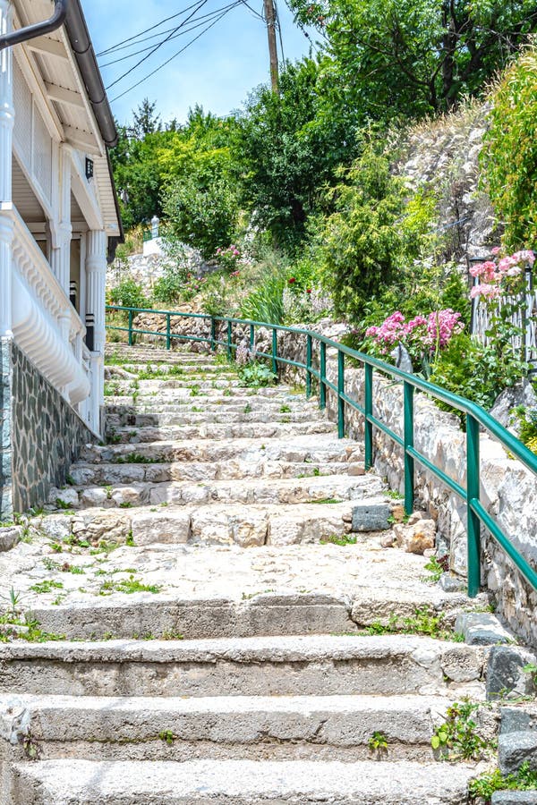 Vertical Shot of a Street Stone Steps Under Sunlight with Greenery ...