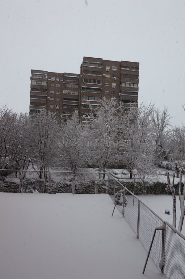 Vertical Shot of a Street View in Winter Stock Image - Image of ...